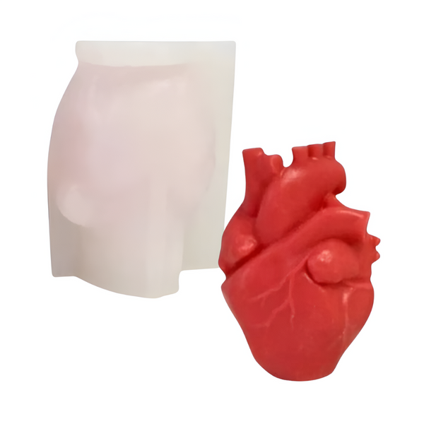 Inicio Molde Corazón Humano 3D Molde de Silicón